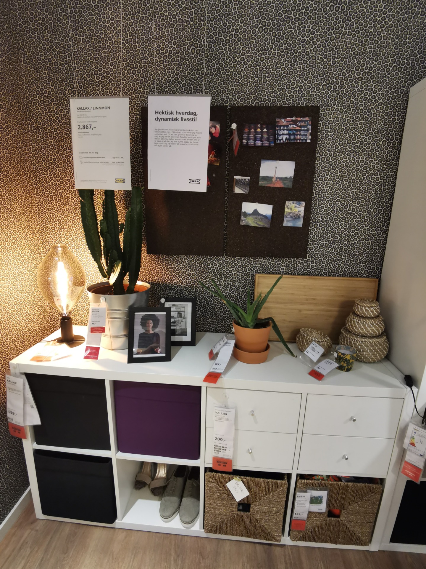 Designing a Versatile and Affordable Storage Solution with IKEA's KALLAX