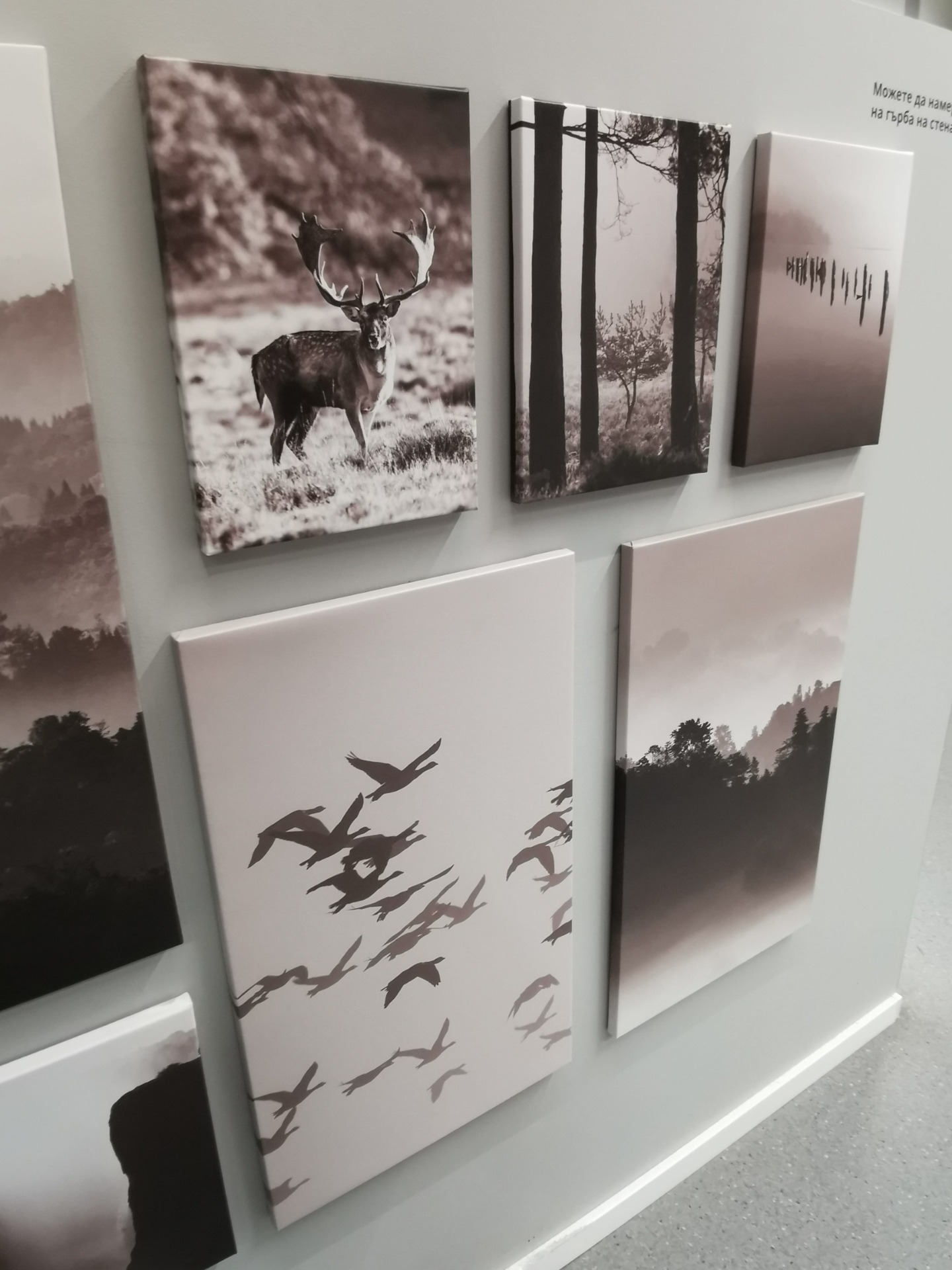 IKEA Wall Art: Mix and Match for a Unique Look